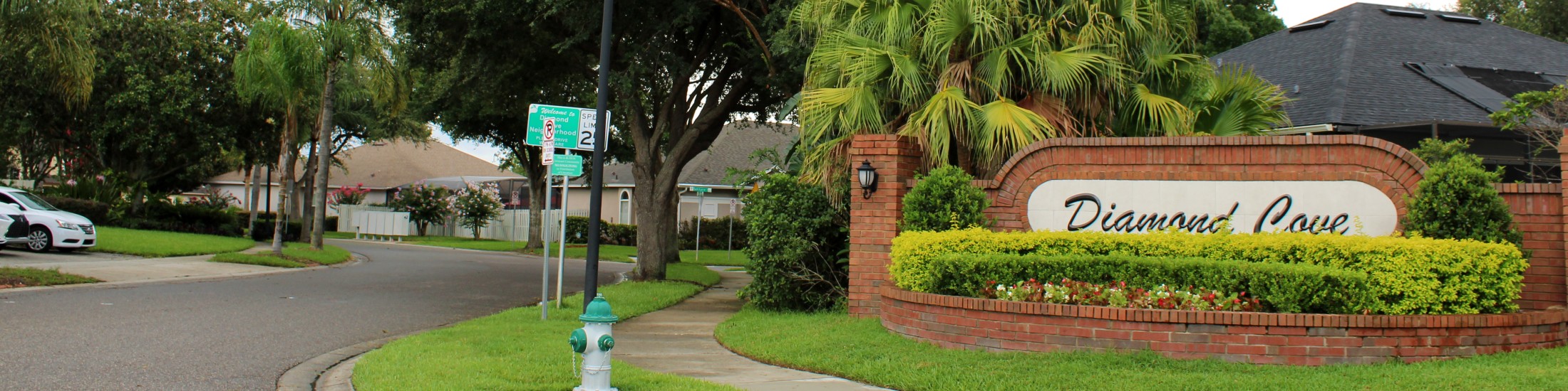 Diamond Cove Dr Phillips | Florida Neighborhood Realty