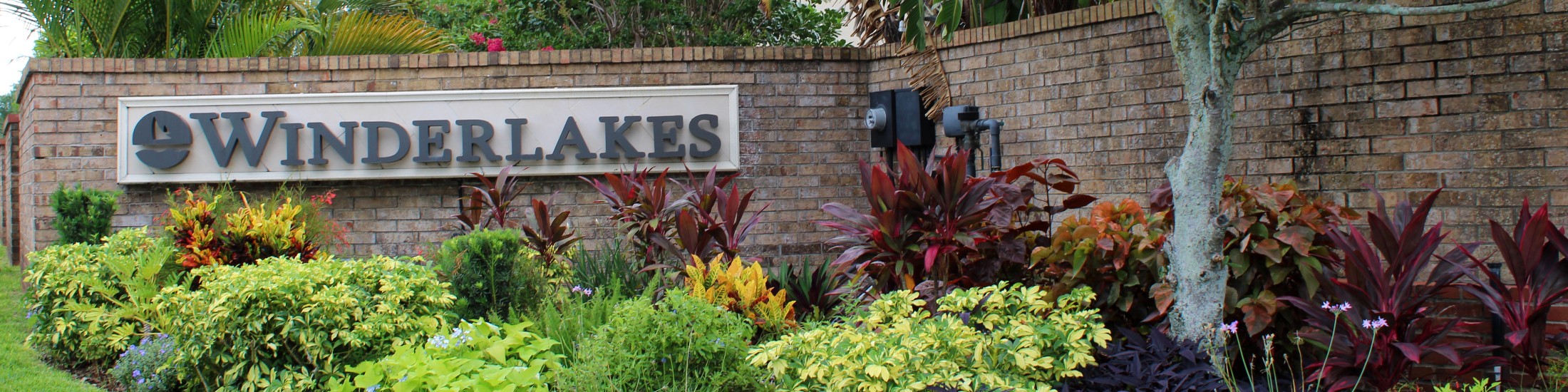 Winderlakes Dr Phillips | Florida Neighborhood Realty