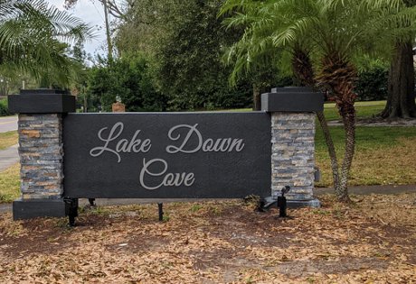 Lake Down Cove Homes for Sale in Windermere, FL | Florida Neighborhood ...