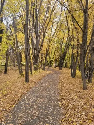 5 Fargo-Moorhead Neighborhoods with the Best Fall Foilage Views