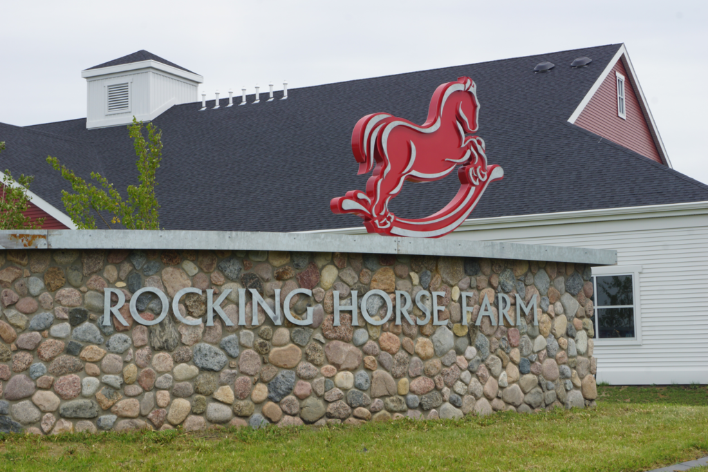 Homes For Sale in Rocking Horse Farms