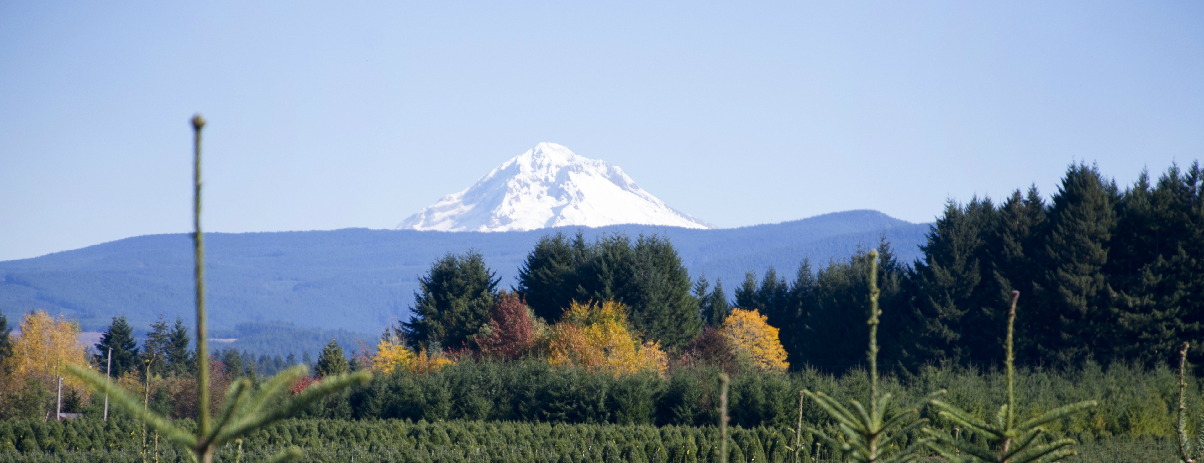 Oregon City Real Estate