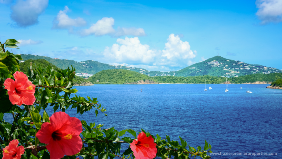 St Thomas Virgin Islands