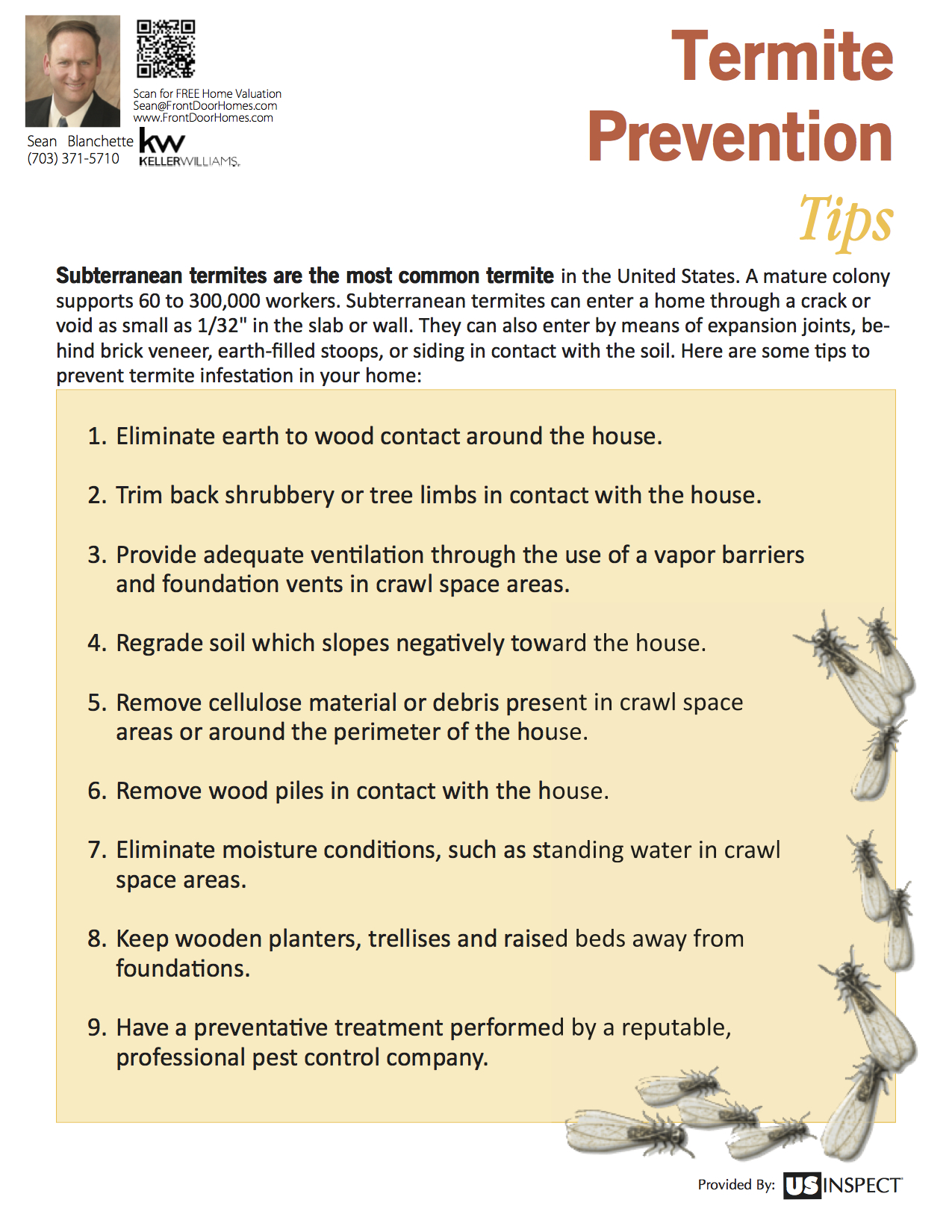 Termite Prevention Tips