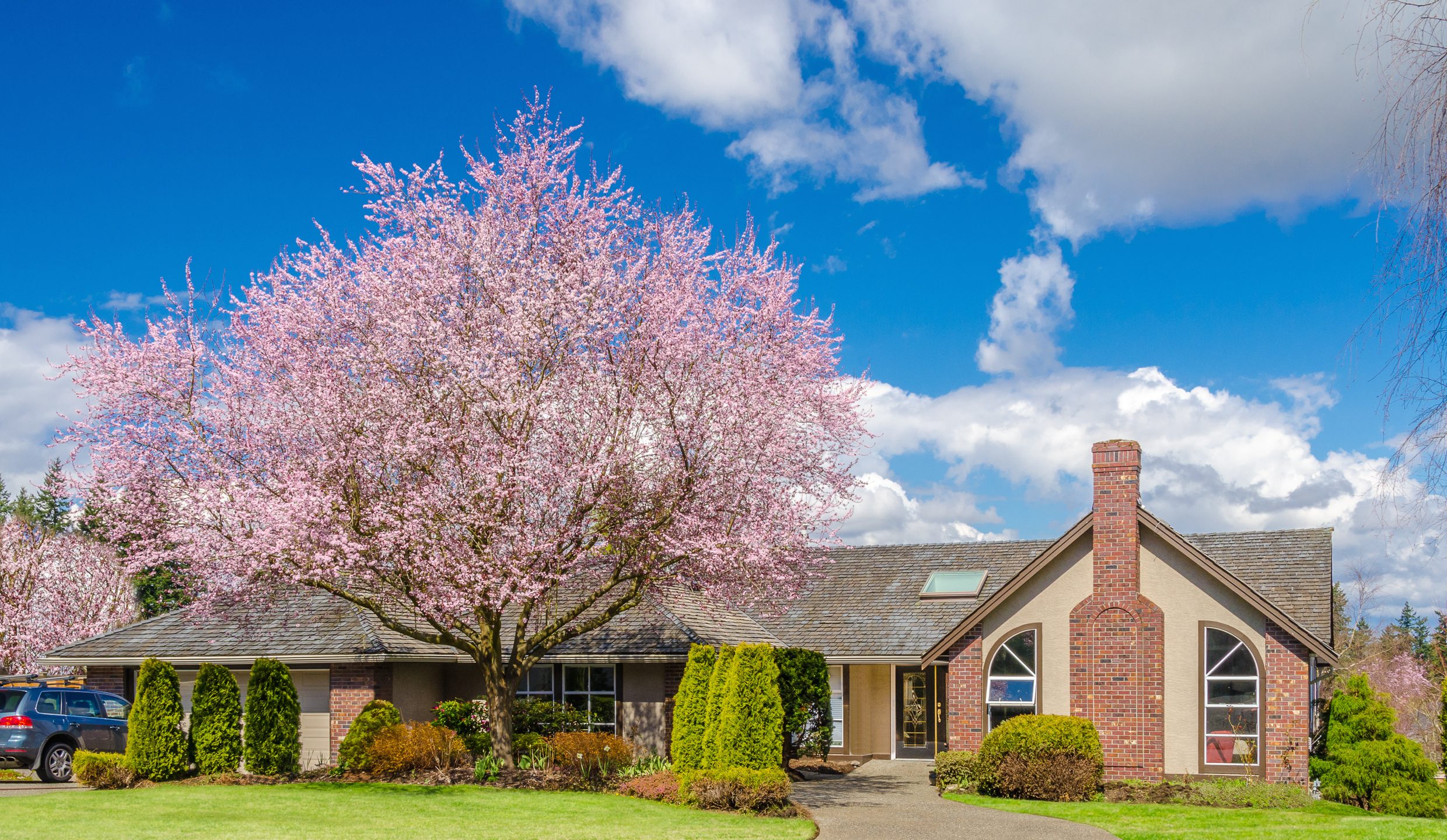 Saint Louis Park Homes for Sale!