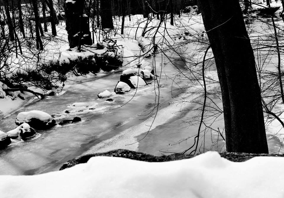The Parsons Estate Ruins at the Rye Nature Center