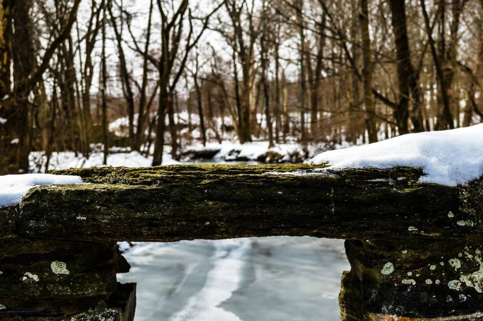 The Parsons Estate Ruins at the Rye Nature Center