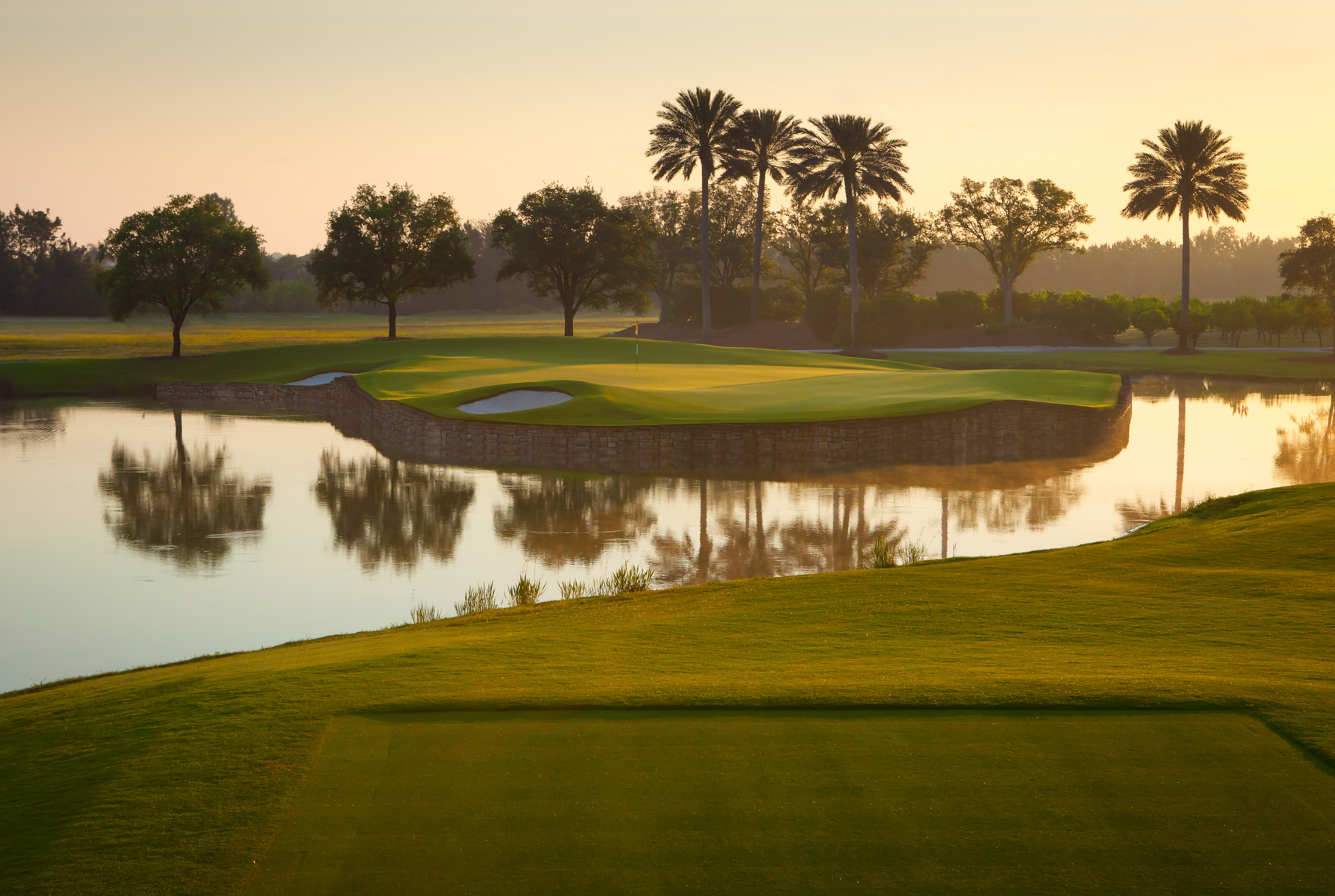 Esperanza at Tiburón Naples FL | Luxury Condos for Sale with Golf ...