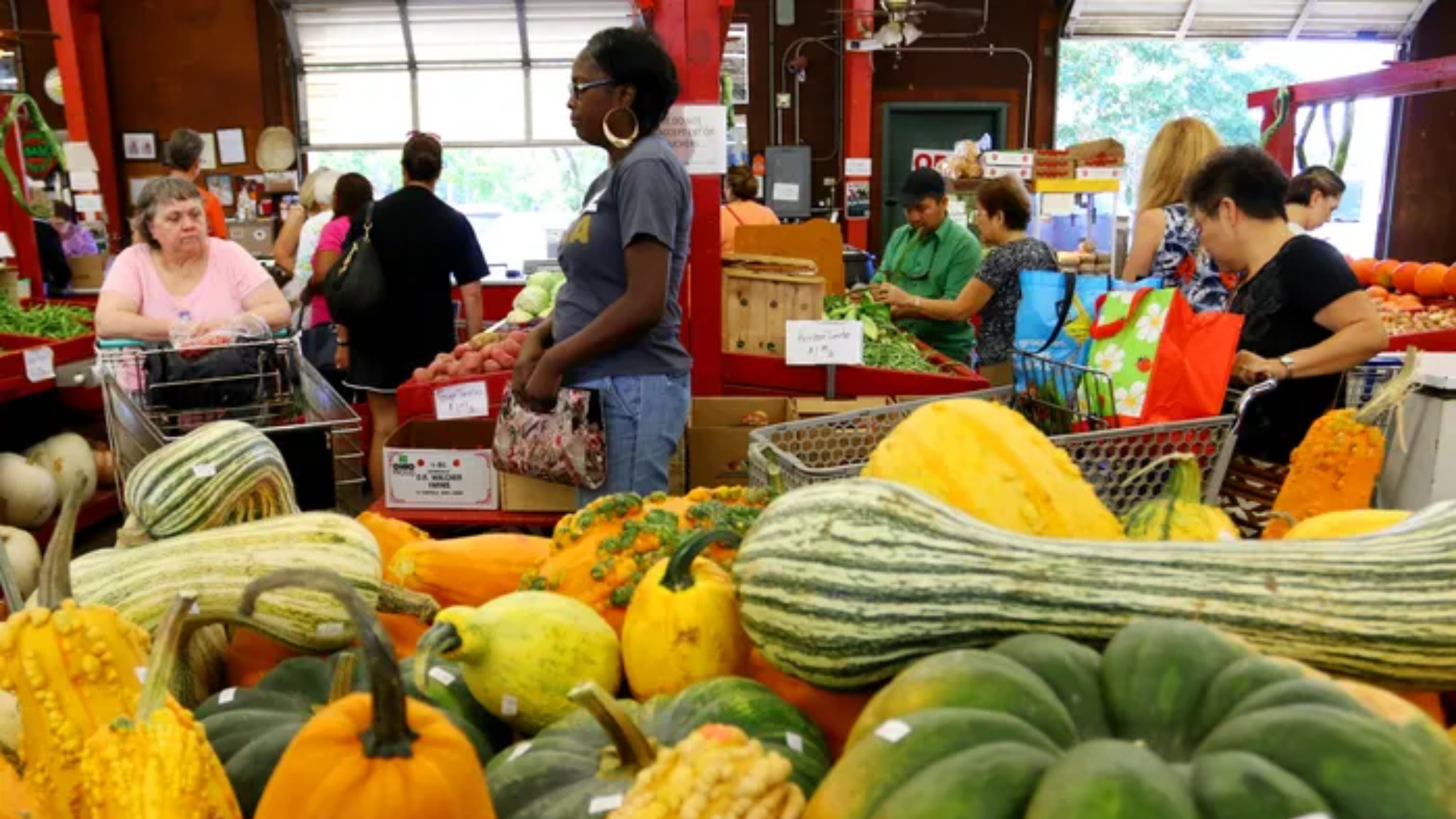 The Ultimate Guide to Fall Festivals Around Greenville SC