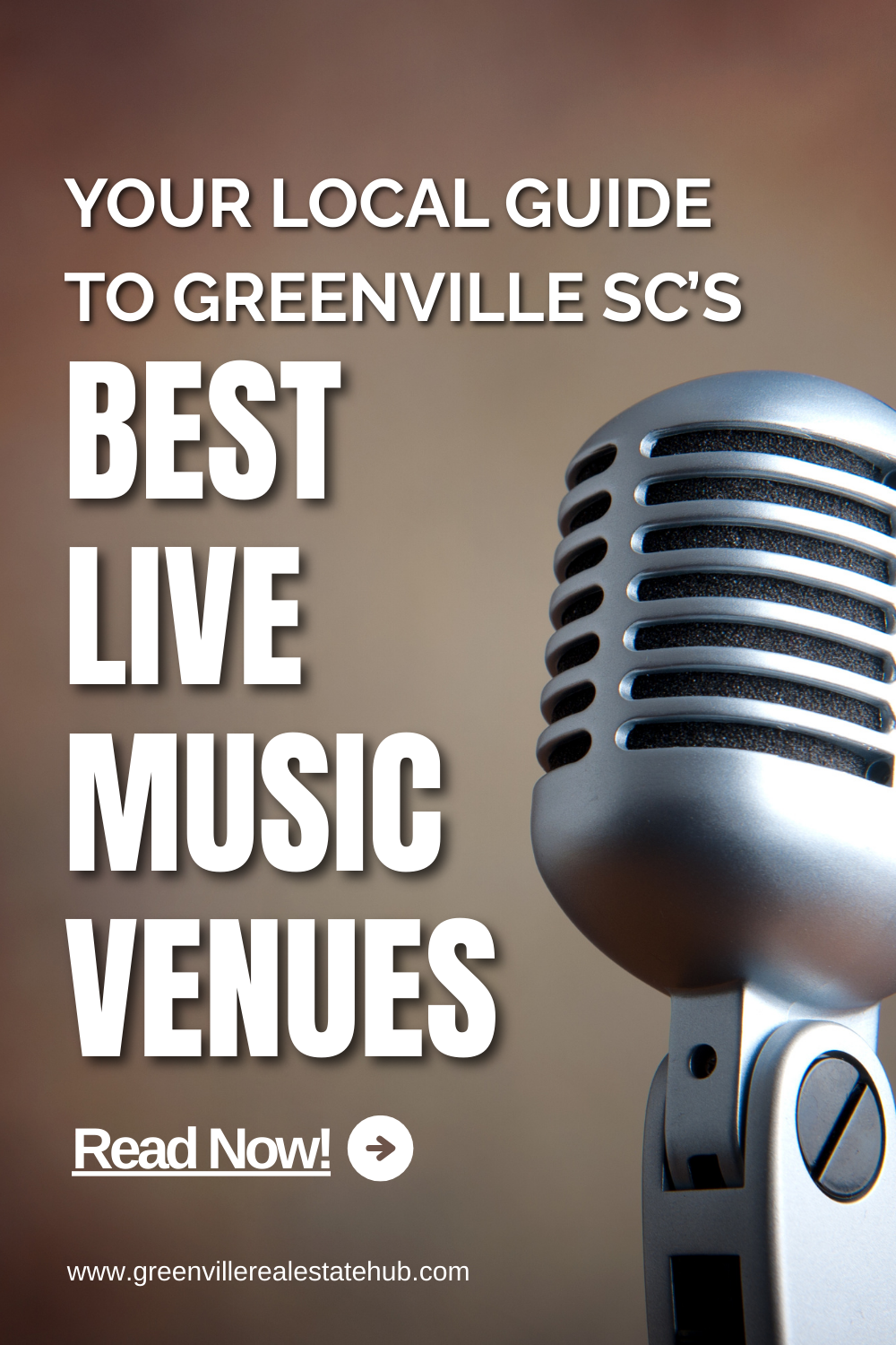 Where to Watch Live Music in Greenville SC | Top Venues