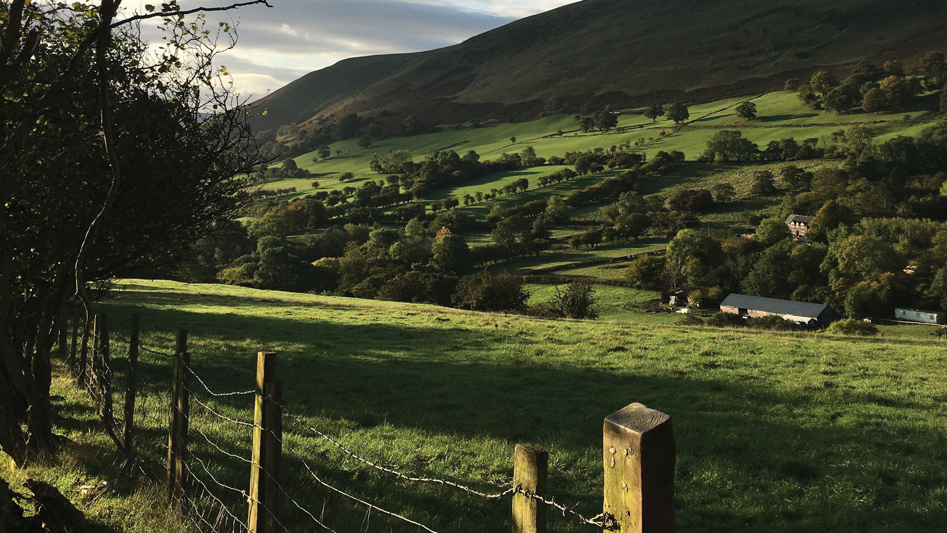 Campobello SC Real Estate and Homes for Sale