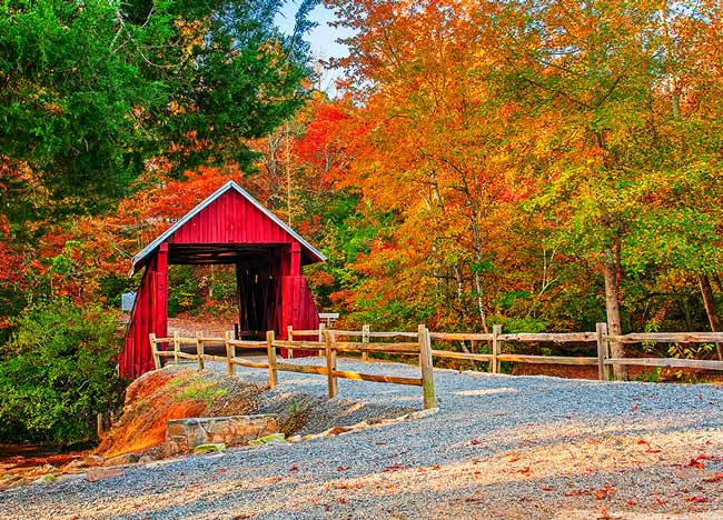 Greenville, SC’s Best Places for Fall Family Photos