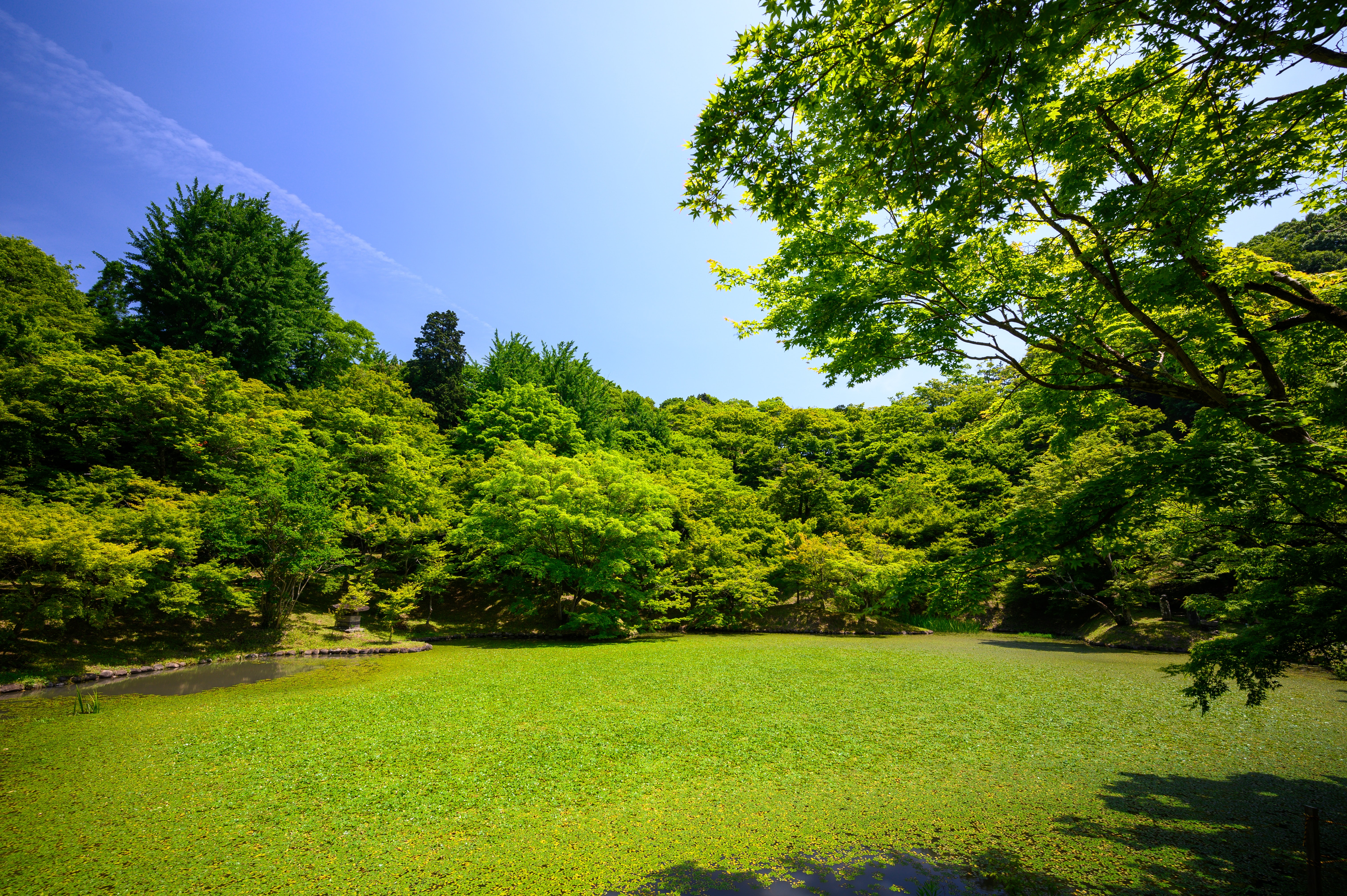 Open Parks and Outdoor Spaces in Greenville, sc
