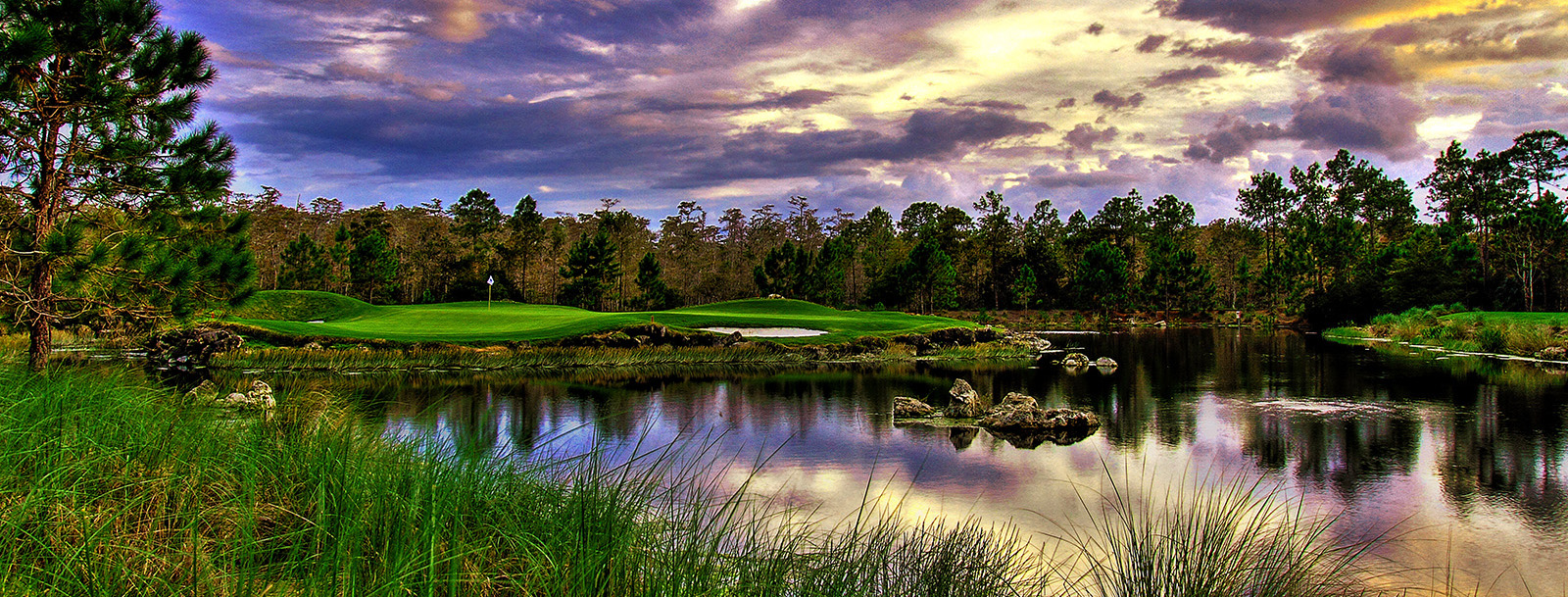 Olde Cypress