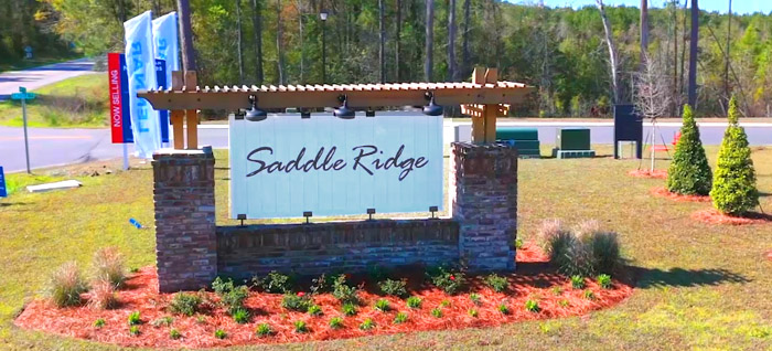 Homes for Sale in Saddle Ridge - Consway SC Real Estate
