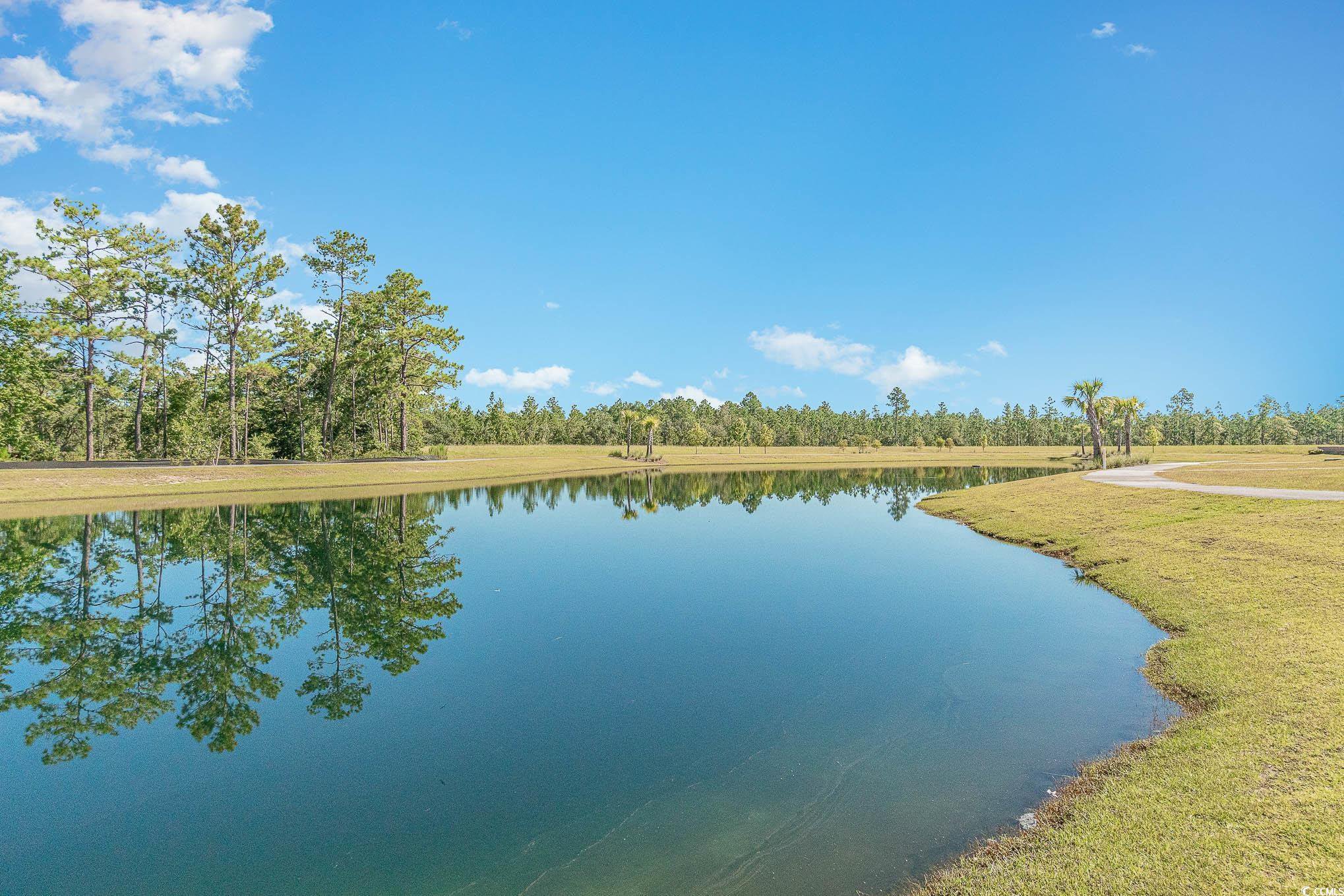 Homes for Sale in Clear Pond at Myrtle Beach National