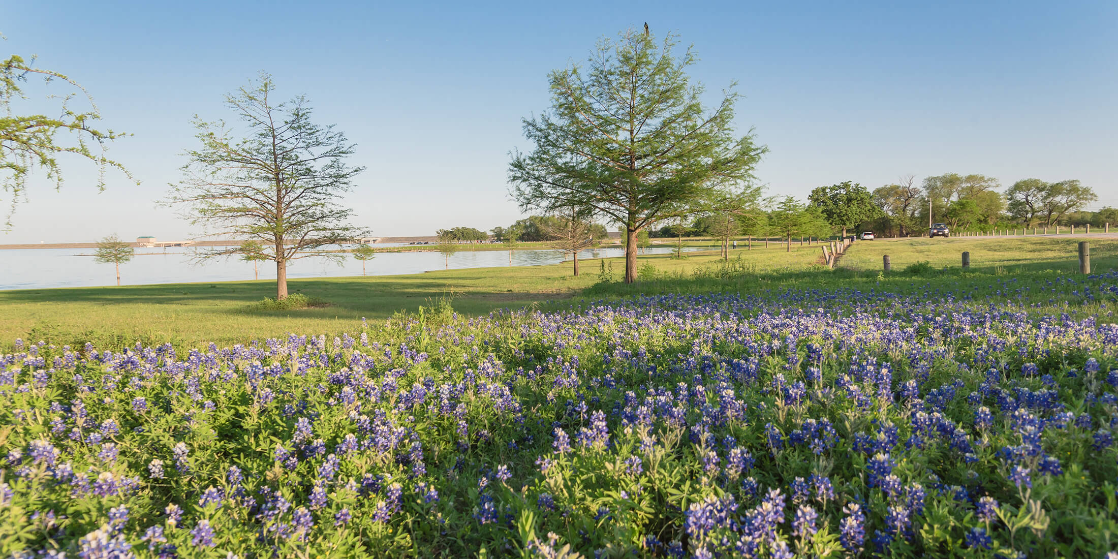 Helping Serve The North Texas Area