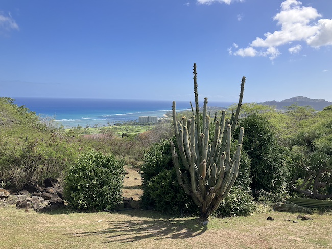 Pros and Cons of Living on Waialae Iki