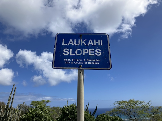 Pros and Cons of Living on Waialae Iki