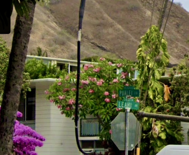 Wanted: Pualei Circle Condos for Sale