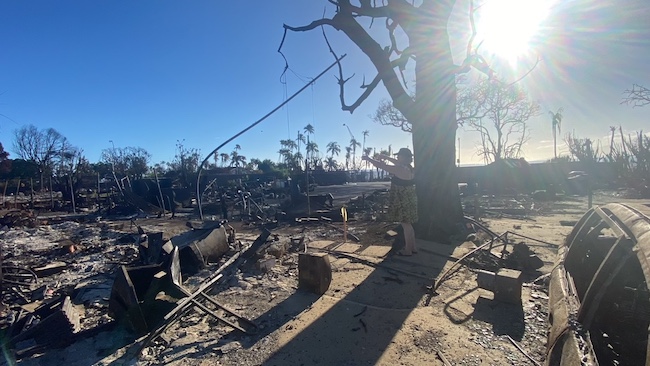 Noah's Ark Survives the Lahaina Fire