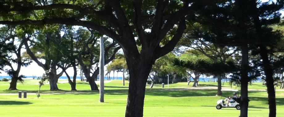 Golf Course Frontage Homes and Condos for Sale