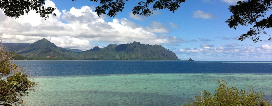 Heeia View Homes for Sale in Kaneohe