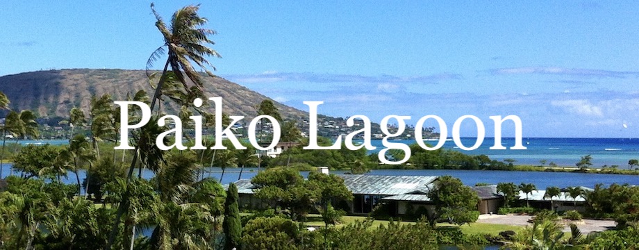 Paiko Lagoon Market Report