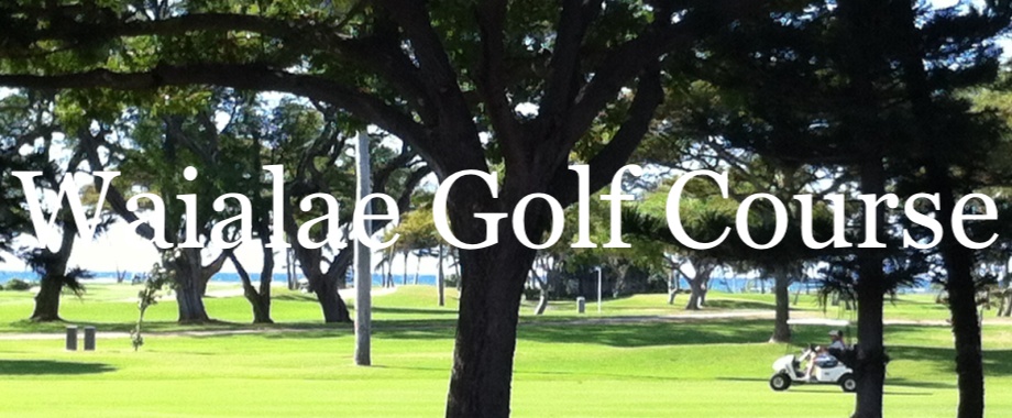 Diamond Head Region Market Reports