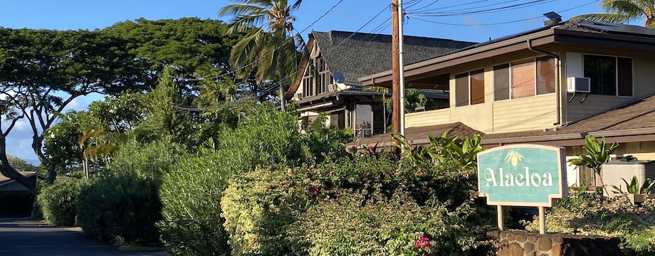 Alaeloa CPR Homes in Napili