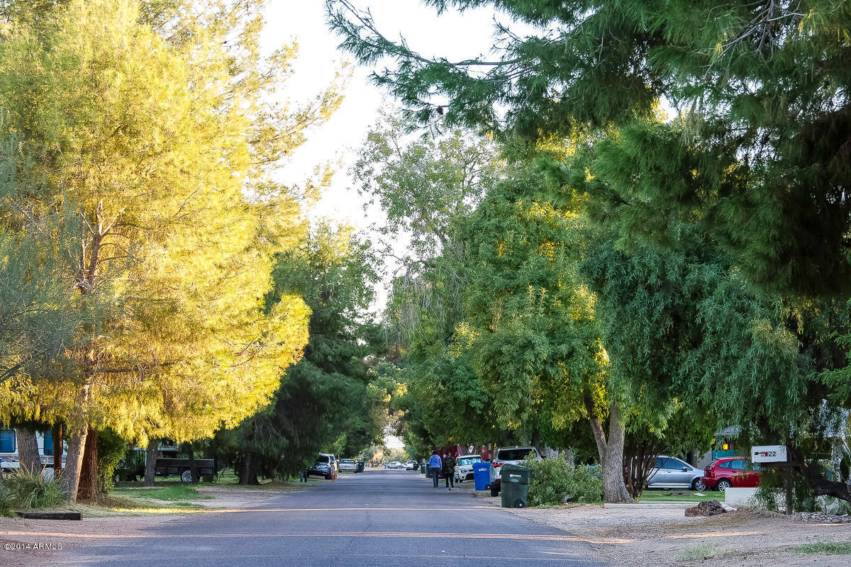 Phoenix Homesteads Historic District: Real Estate for sale in Central ...