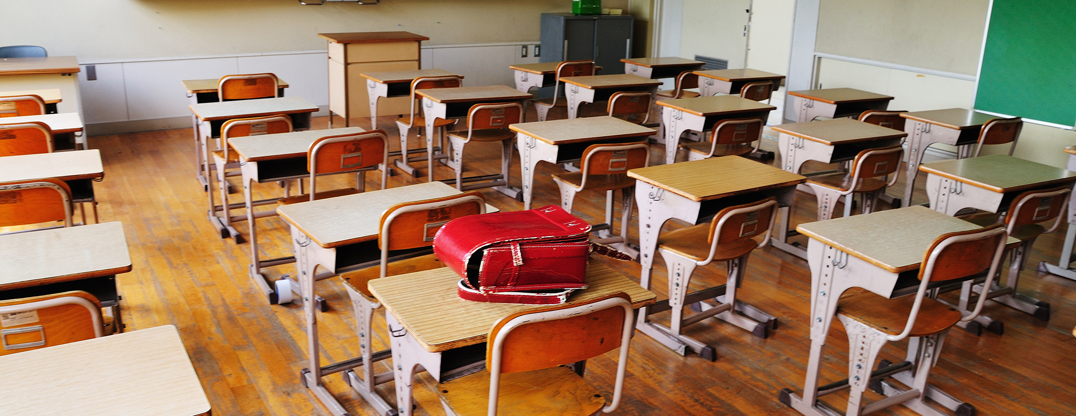 Schools in an around the The Arcadia Neighborhood