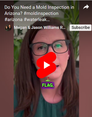 Do You Need a Mold Inspection in Arizona?