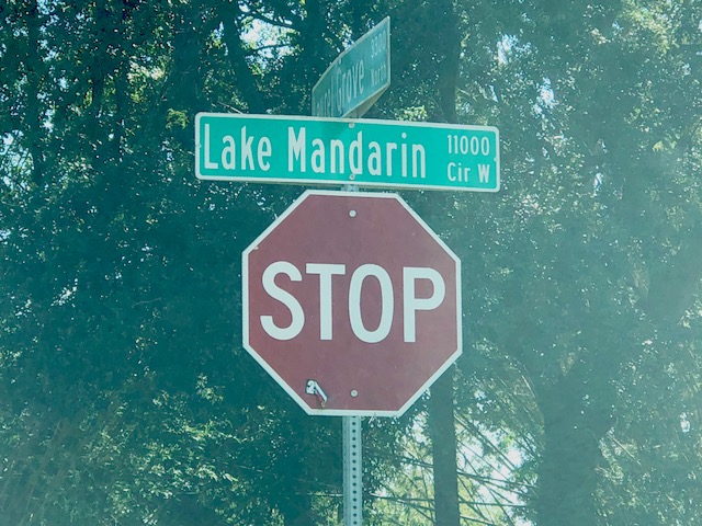 Homes for Sale Lake Mandarin | Real Estate Listings in Lake Mandarin