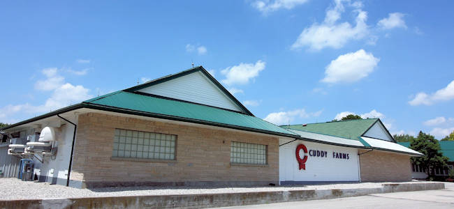 Moving to Strathroy? | The Ultimate Guide to Living in Strathroy - (2019)