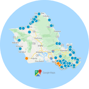 Honolulu Real Estate | Honolulu Homes and Condos for Sale