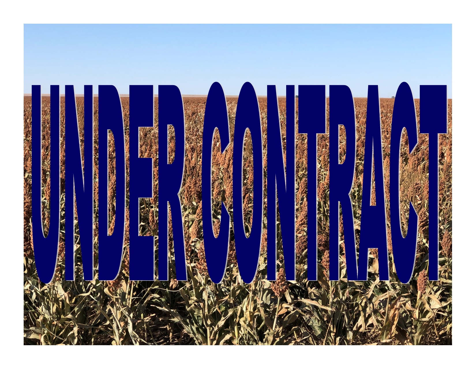 320 Acres of Finney Co. Dry Land