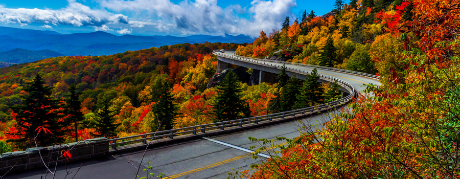 10 Reasons To Consider Moving To Biltmore Forest, North Carolina Today!