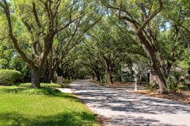 Wee Haw Woods Georgetown, SC.