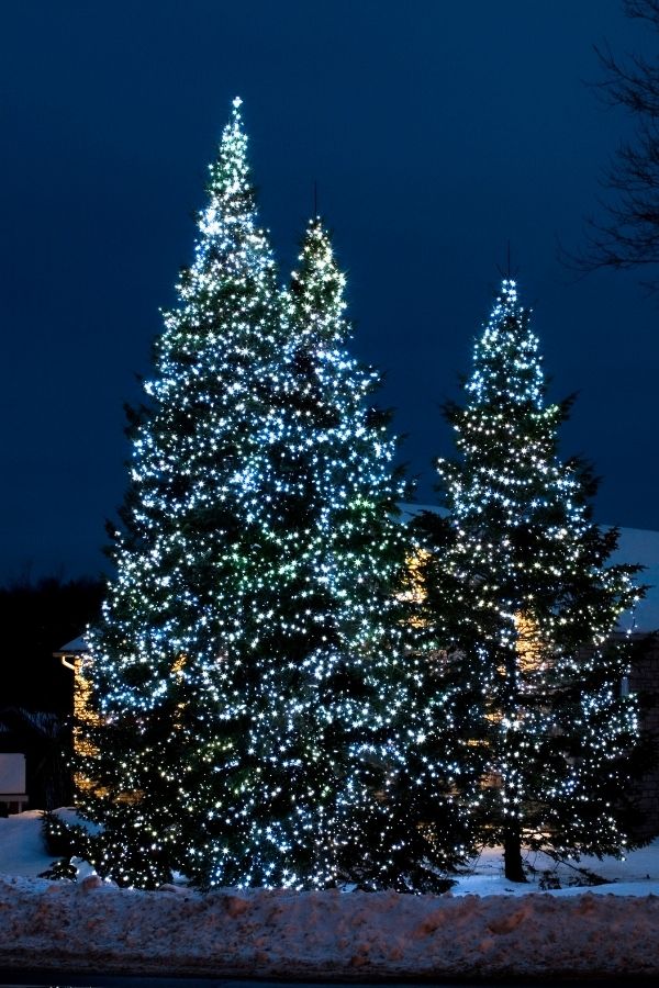 Best Christmas Lights Near Me | Greater Boston Light Displays