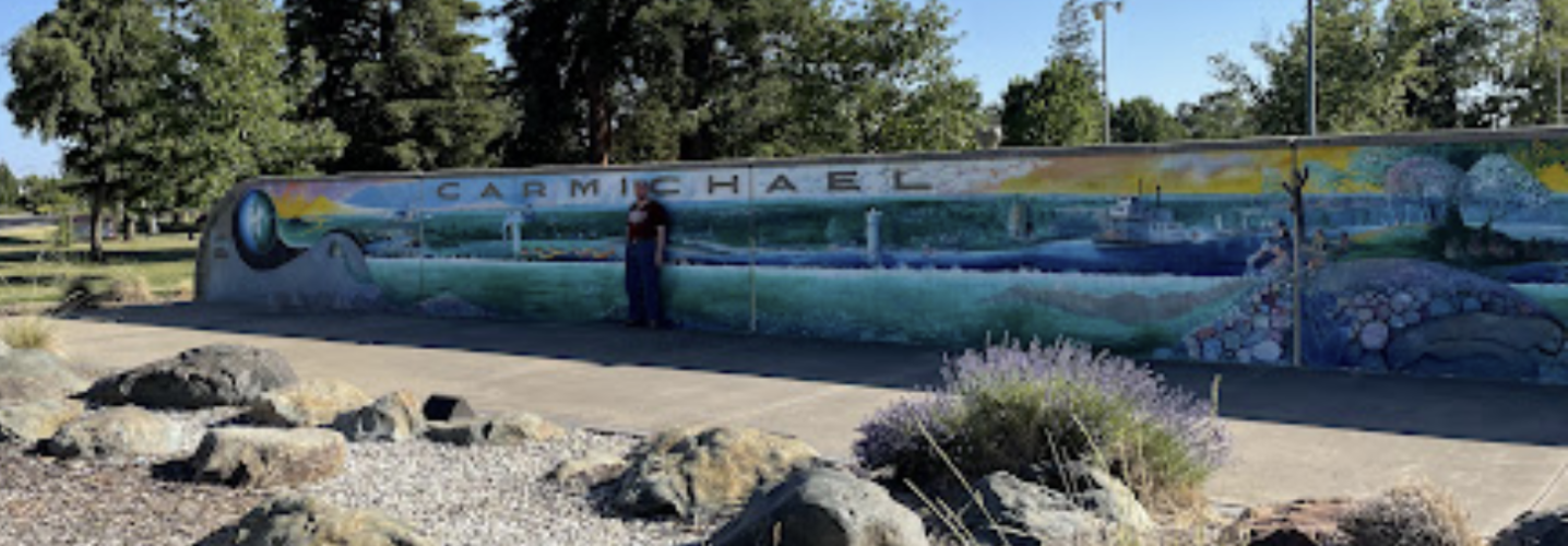 Unveiling Carmichael's Charm: A Look at Neighborhood Gems