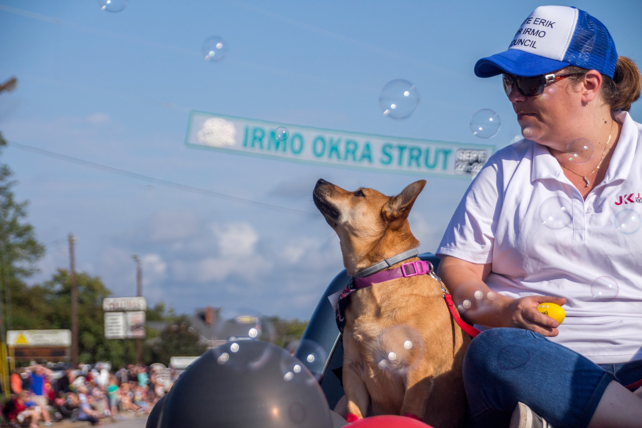 Okra Strut 2019
