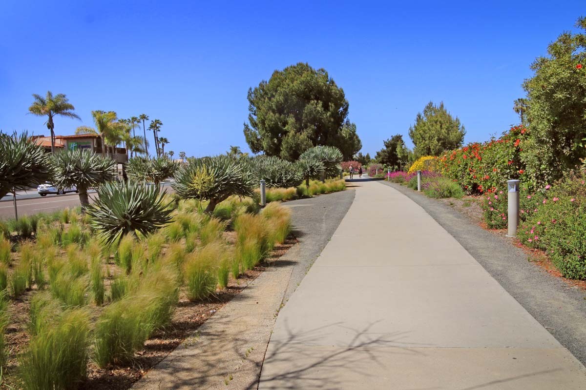 Encinitas Neighborhood Guide
