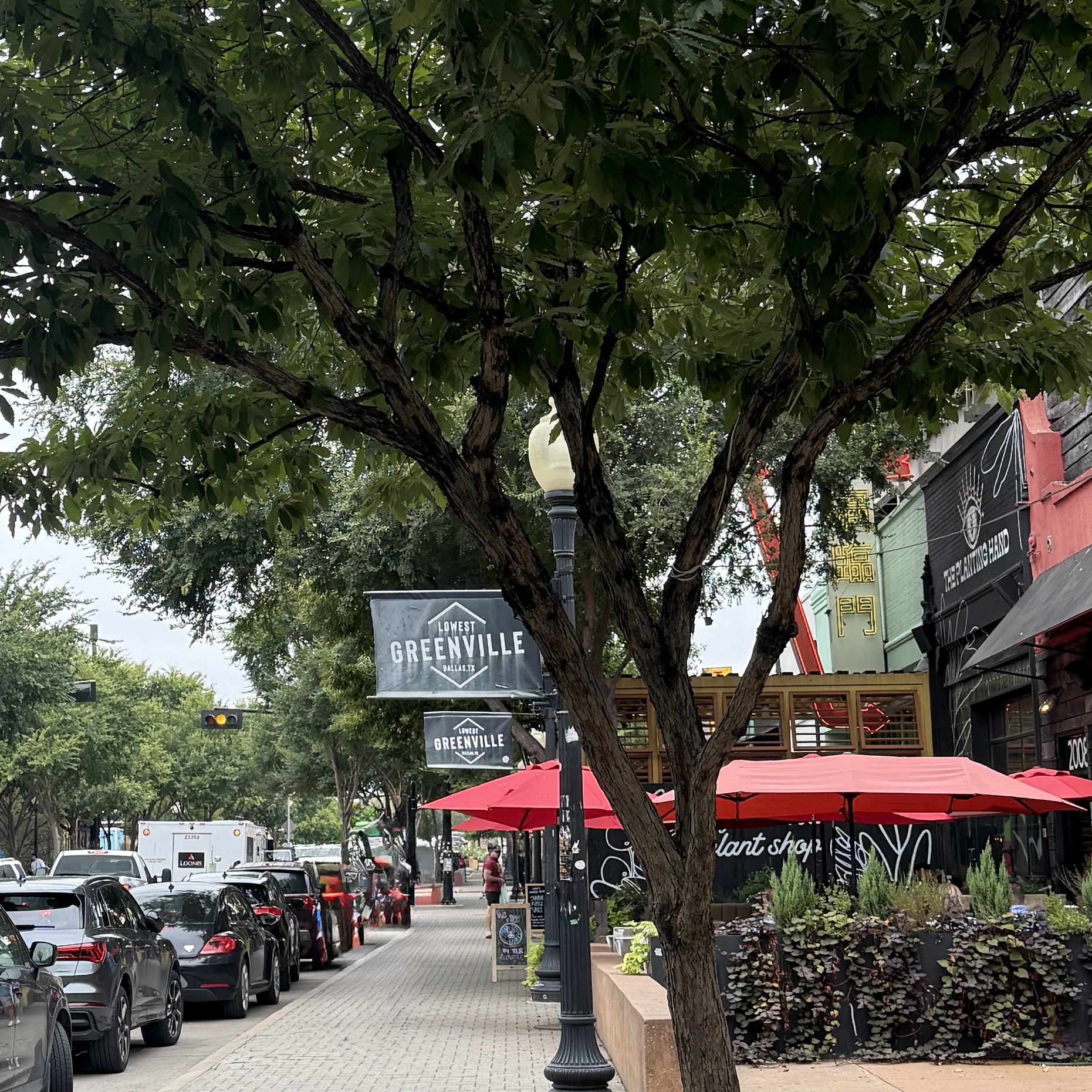 Homes for Sale in M Streets and Lower Greenville Dallas