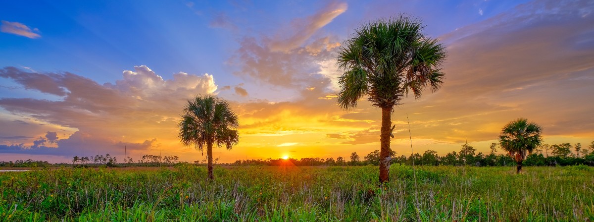 Jupiter Farms Homes For Sale