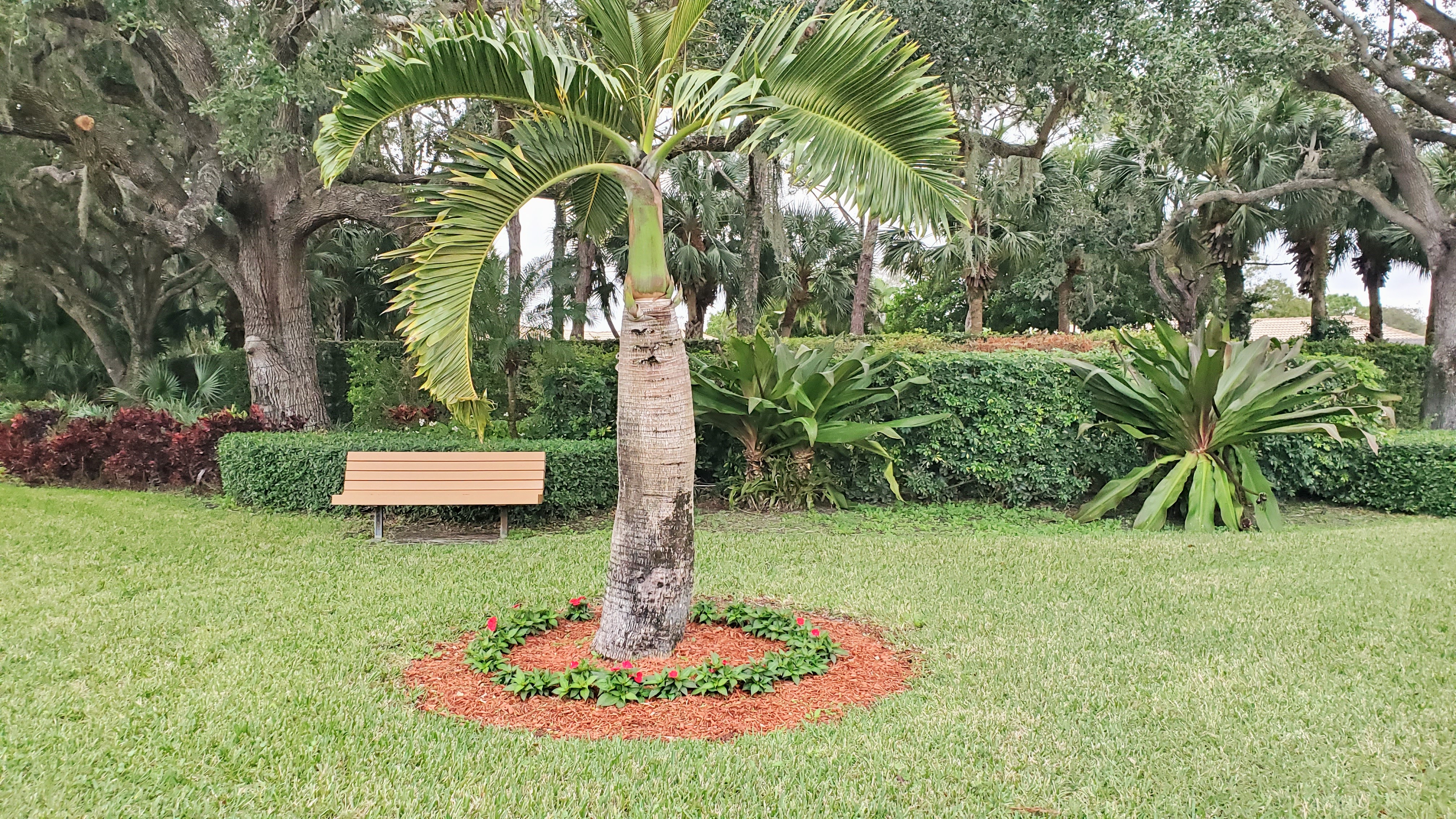 Sun Terrace At The Oaks Palm Beach Gardens