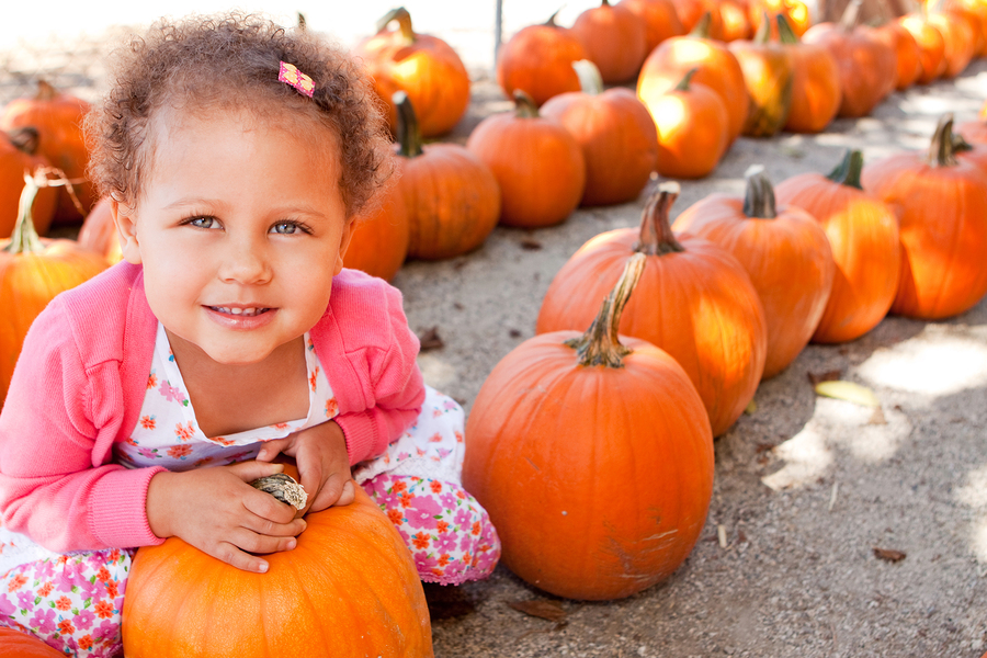 Decorate Snohomish Real Estate with Pumpkins Grown at the Farm at Swan ...
