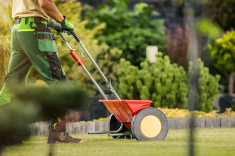 How Often & When Should I Fertilize My Yard?