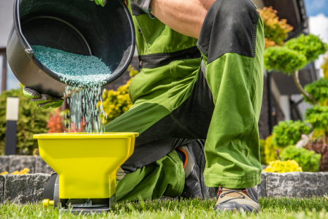 How Often & When Should I Fertilize My Yard?