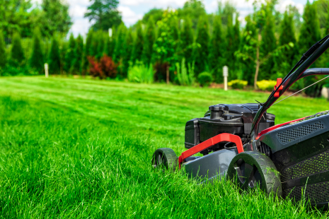 How Often & When Should I Fertilize My Yard?